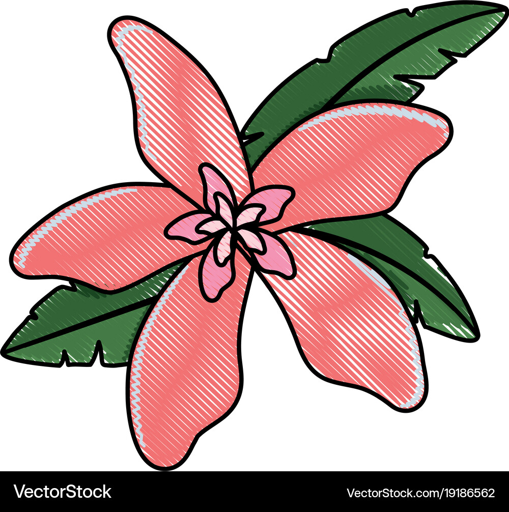 Beautiful tropical flowers design Royalty Free Vector Image