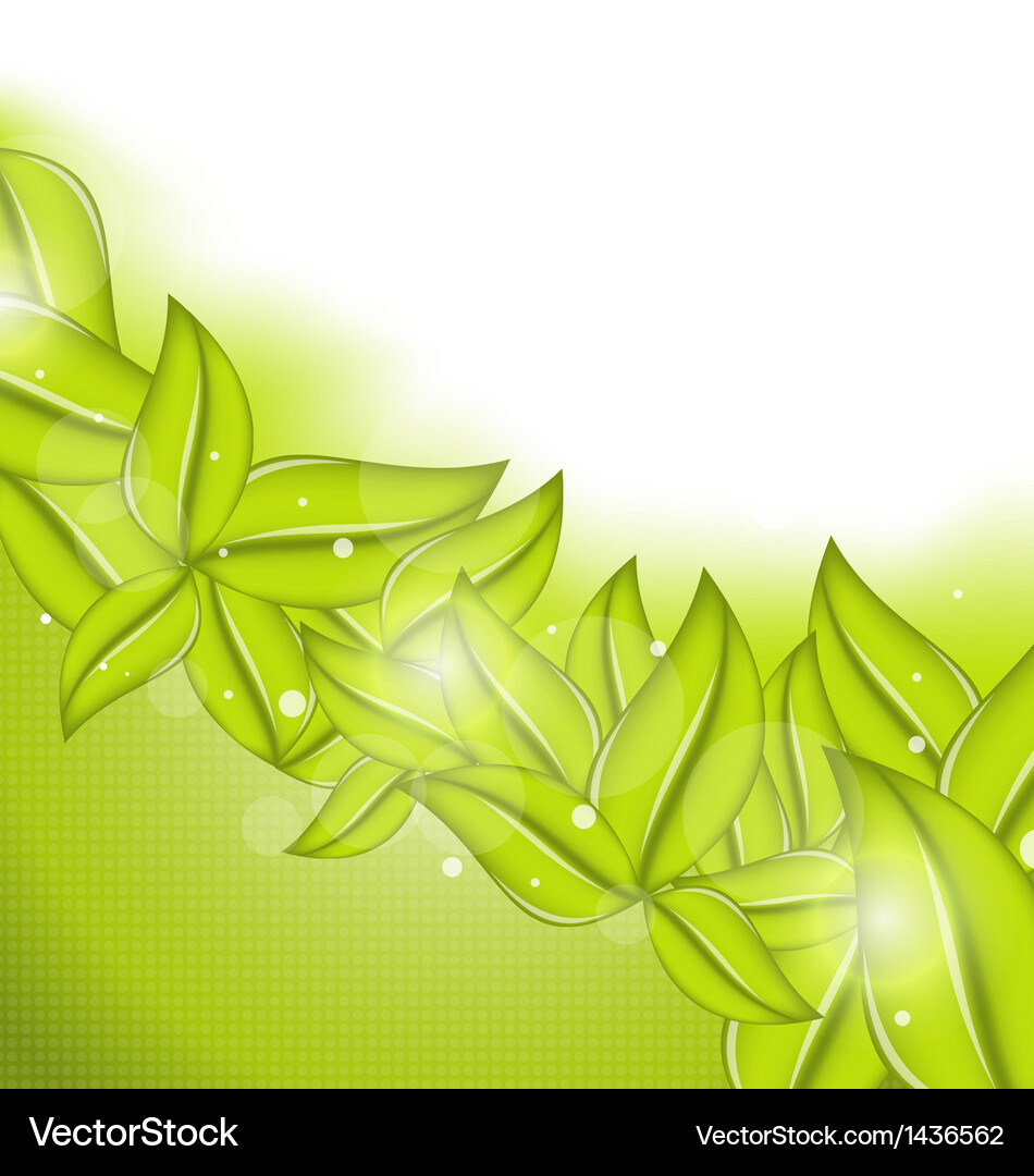 Ecology background with eco green leaves Vector Image