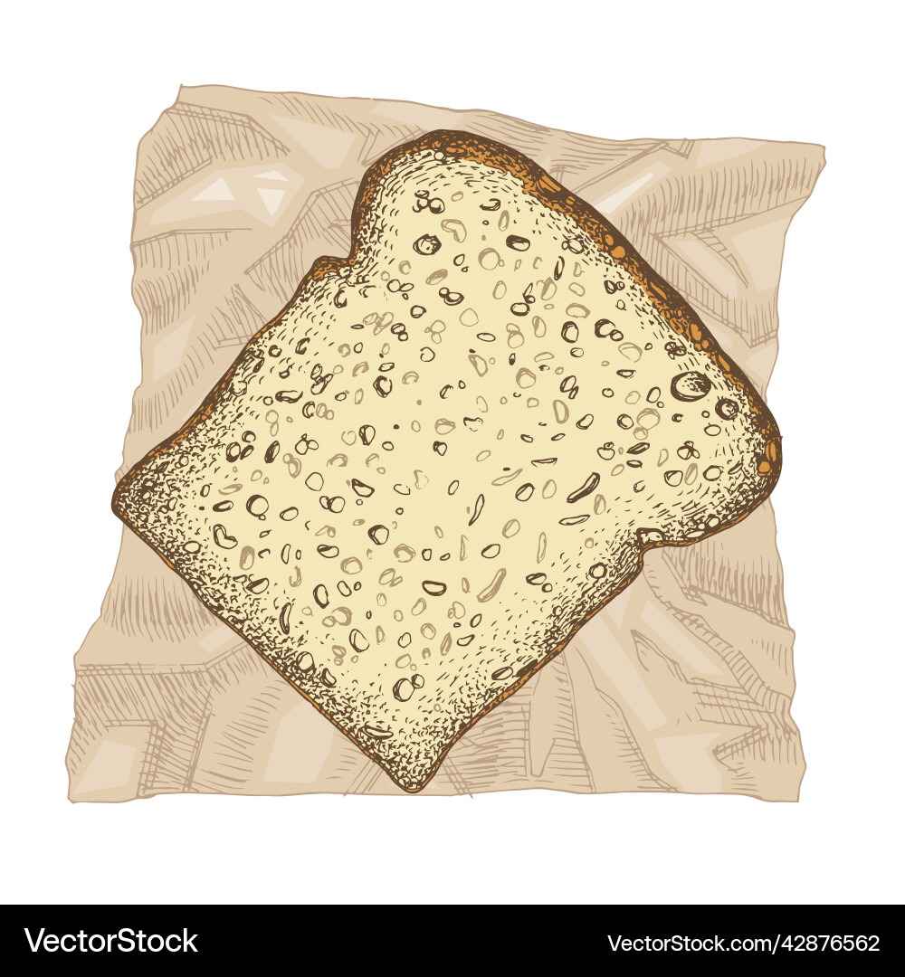 Single slice of toasted bread on paper Royalty Free Vector