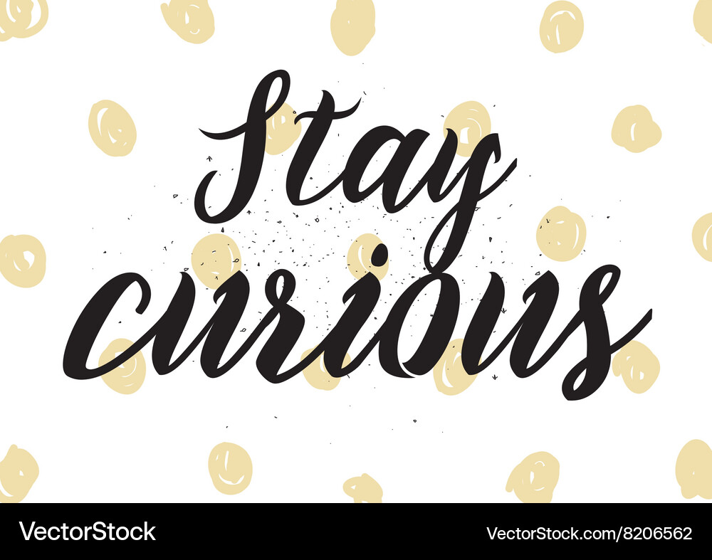 Stay curious inscription greeting card Royalty Free Vector
