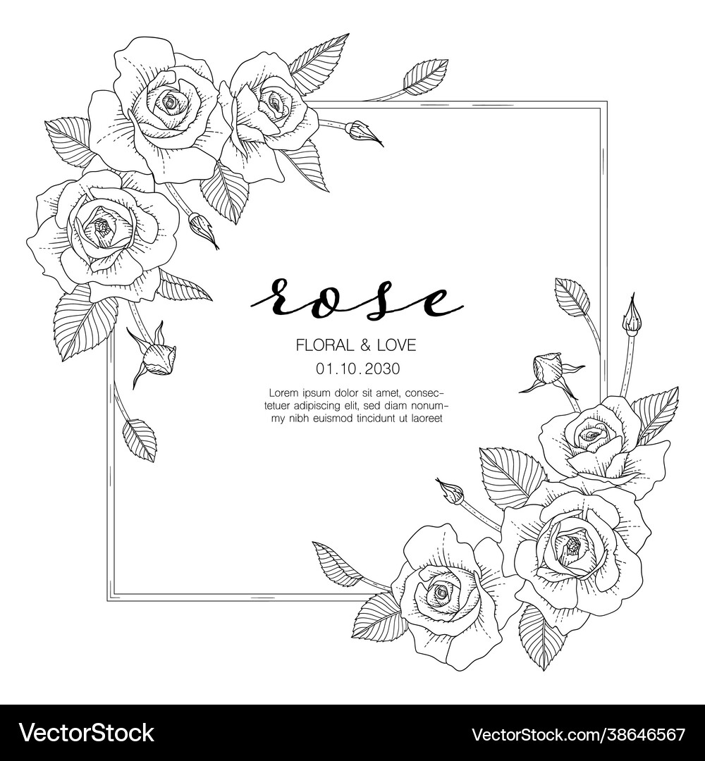 Hand drawn rose floral greeting card background Vector Image
