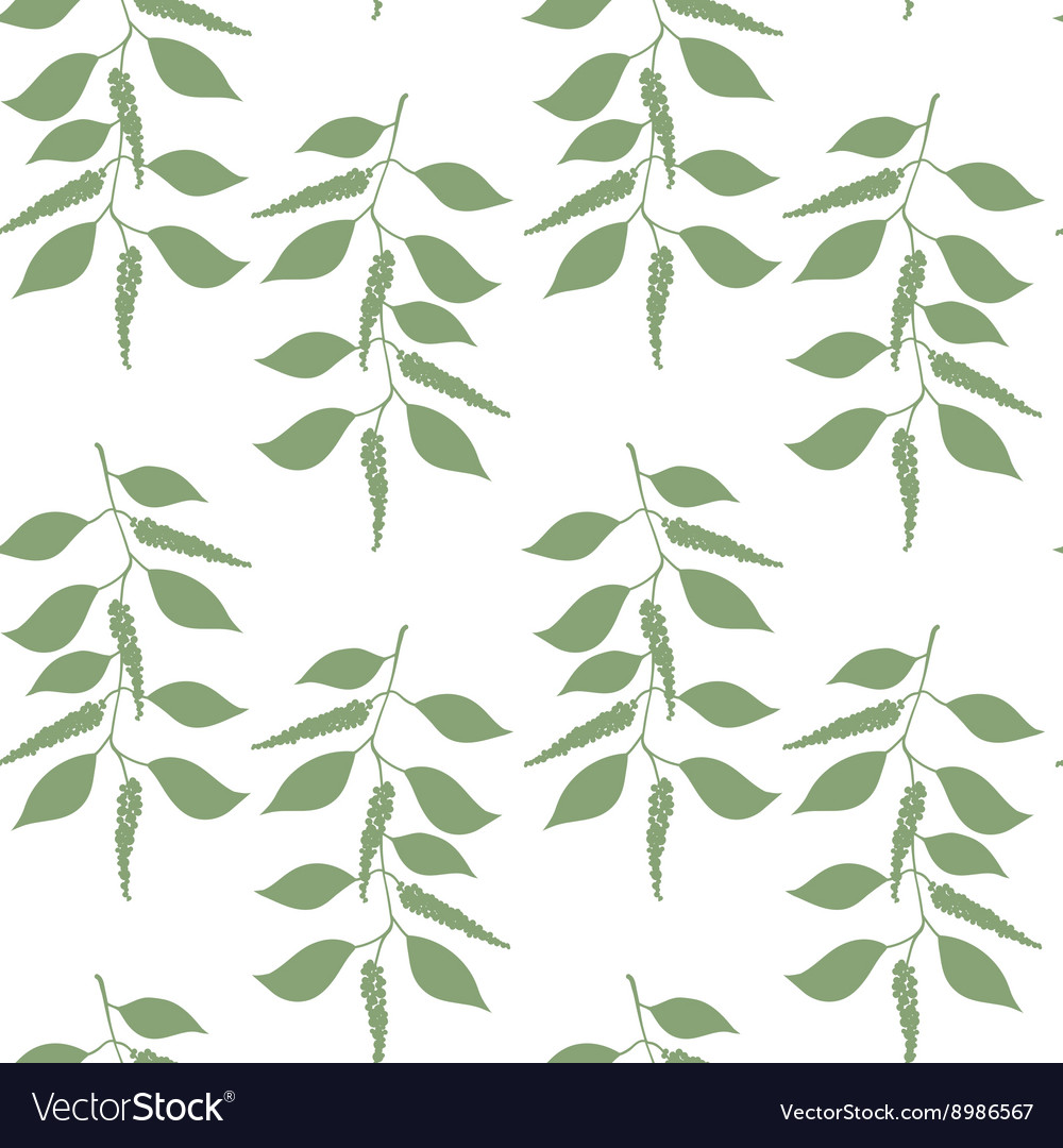 Seamless pattern black pepper Royalty Free Vector Image