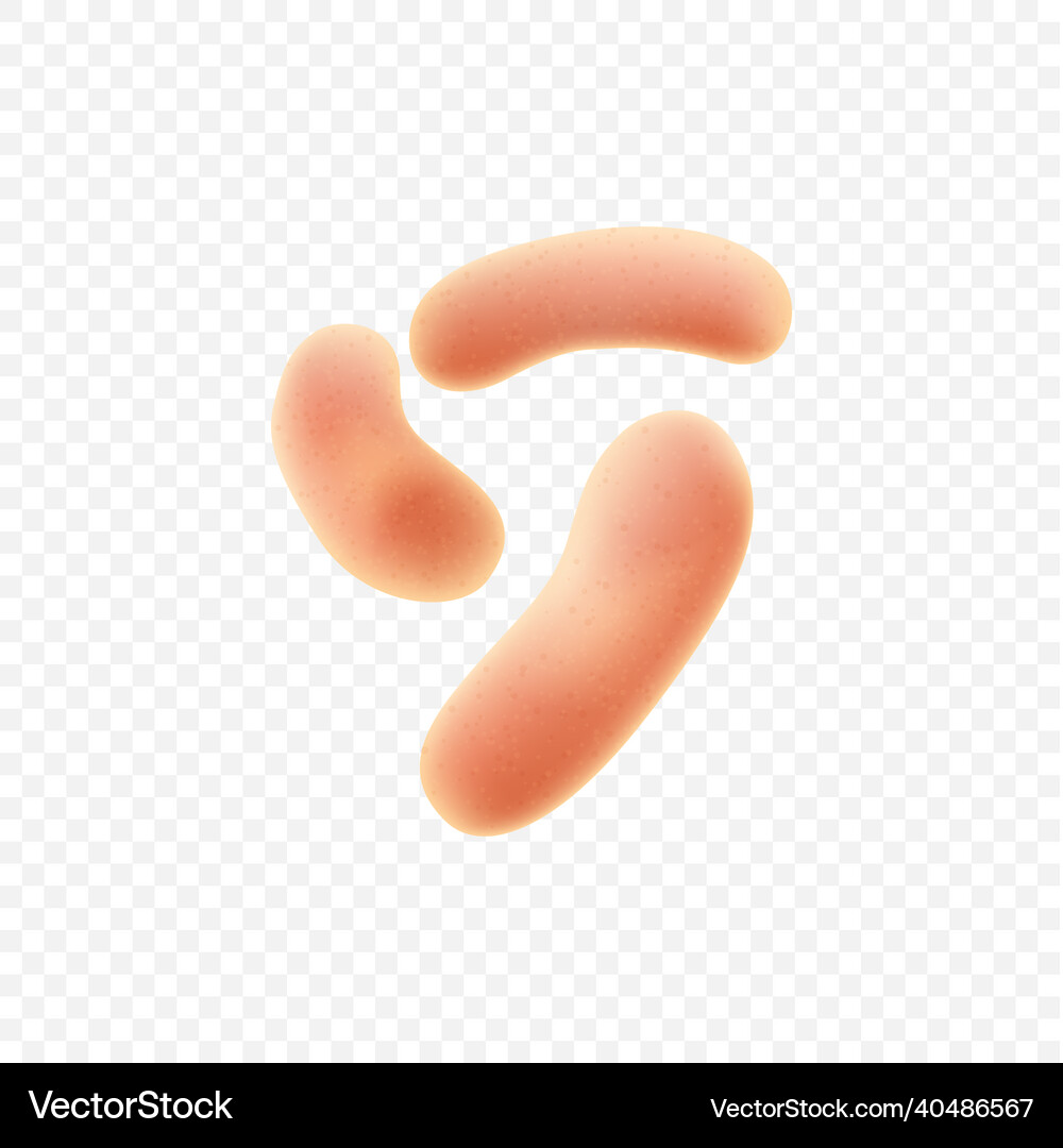 Set of symbiotic human bacteria probiotic Vector Image