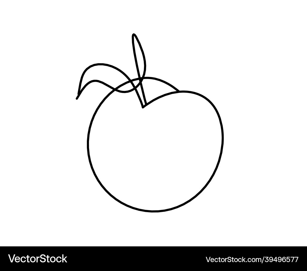 Drawing lidrawing line apricot peach nectarine Vector Image