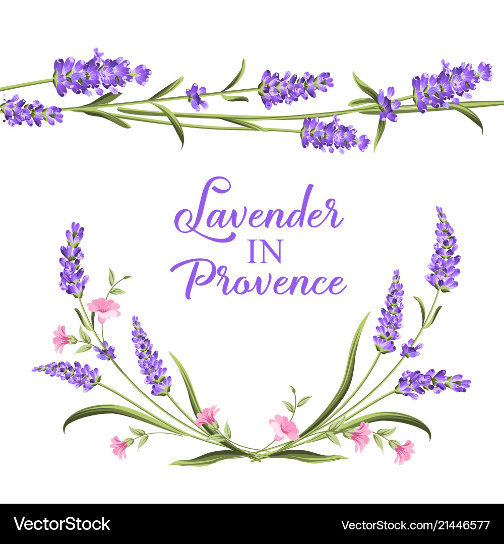 Frame of lavender flowers Royalty Free Vector Image