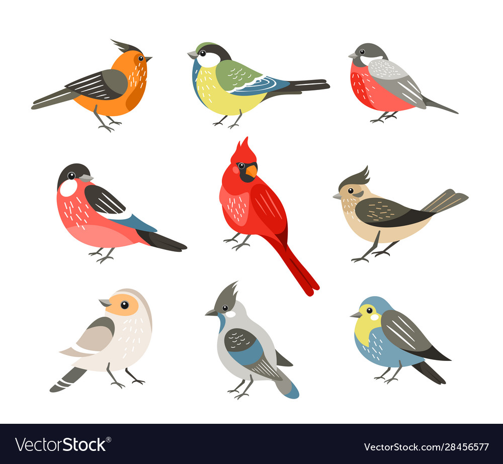 Winter birds flat set Royalty Free Vector Image