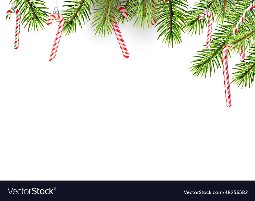 Hanging red and white candy canes with spruce Vector Image