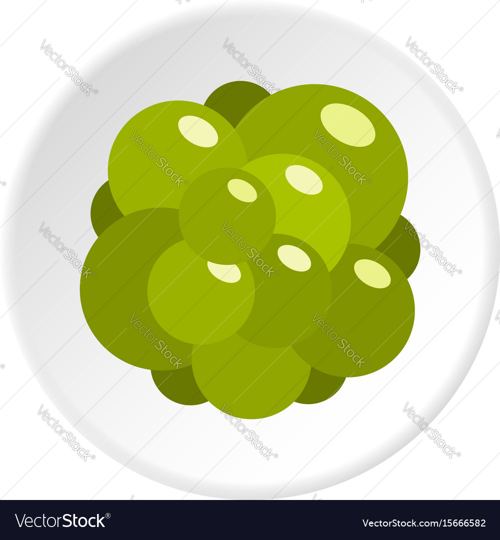 Ovary Icon Circle Royalty Free Vector Image Vectorstock