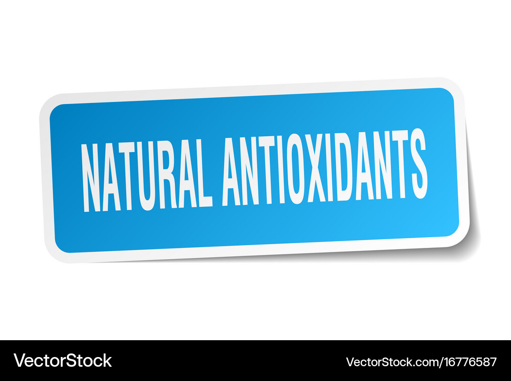 Natural antioxidants square sticker on white Vector Image