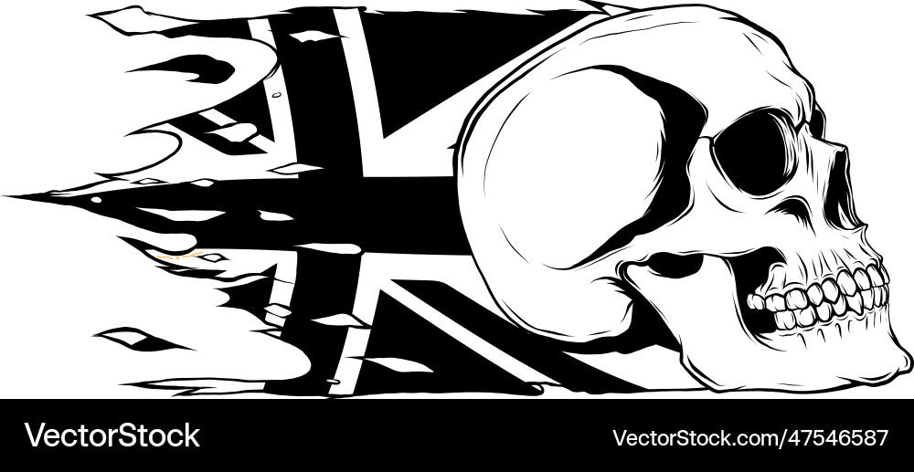 Of outline human skull design Royalty Free Vector Image