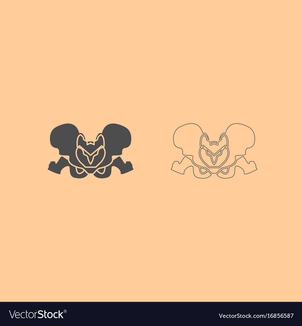 Pelvis skeleton dark grey set icon Royalty Free Vector Image Pelvis skeleton dark grey set icon Royalty Free Vector Image