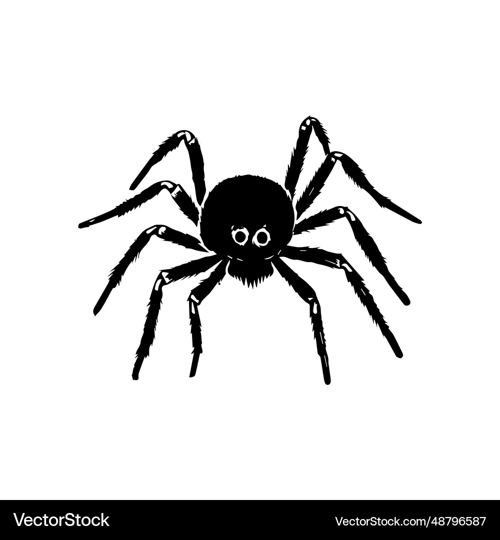 Woodcut print white background bw - a spider Vector Image