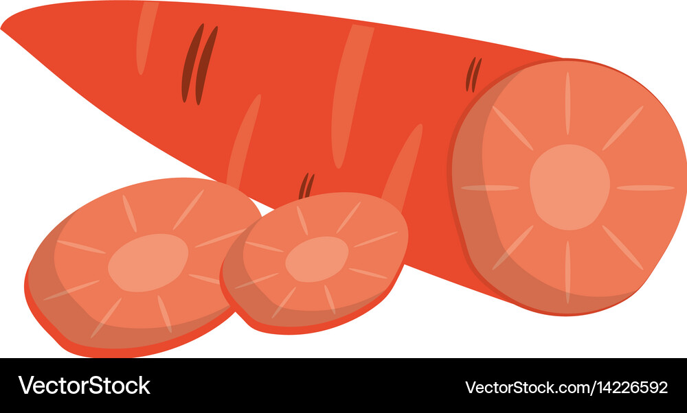Carrot cut food healthy image Royalty Free Vector Image