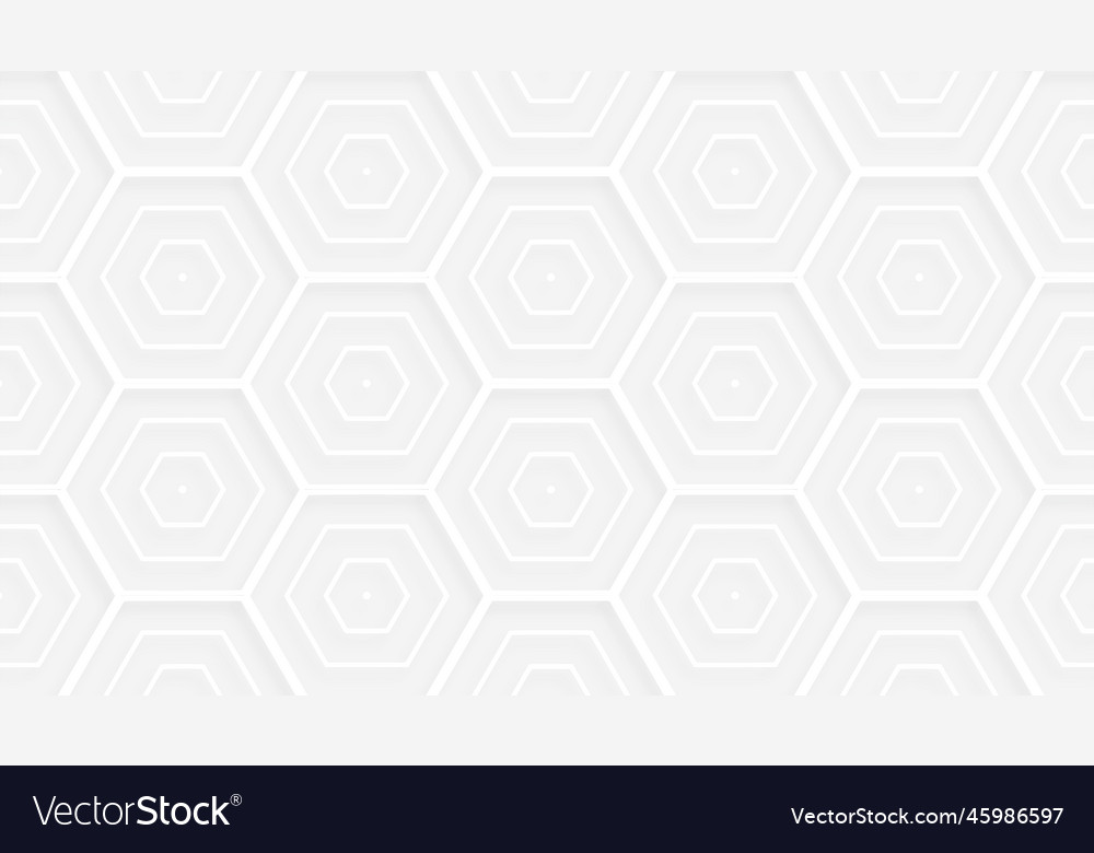 3d style hexagonal white pattern background design