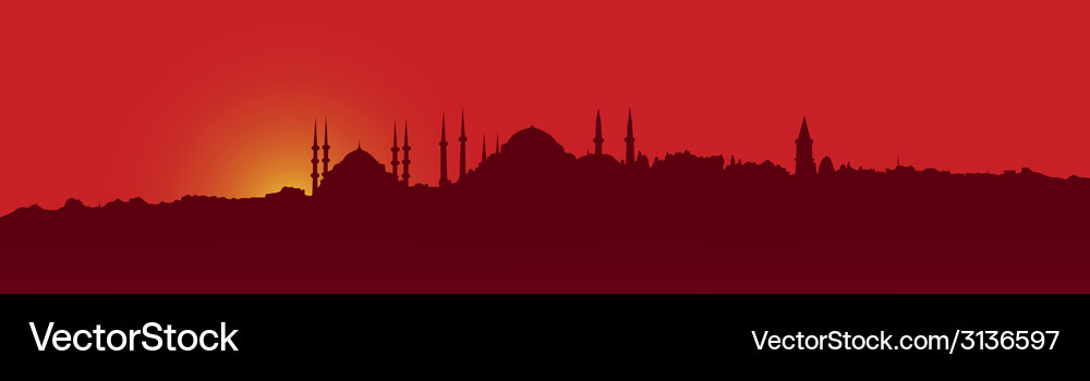 Dark contour istanbul on a red background Vector Image