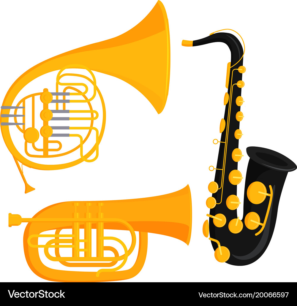 Wind musical instruments tools acoustic musician Vector Image
