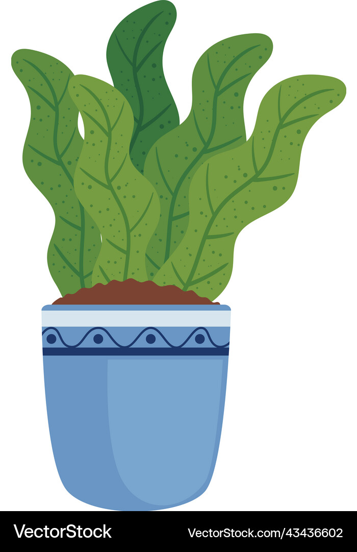 Houseplant with blue pot Royalty Free Vector Image