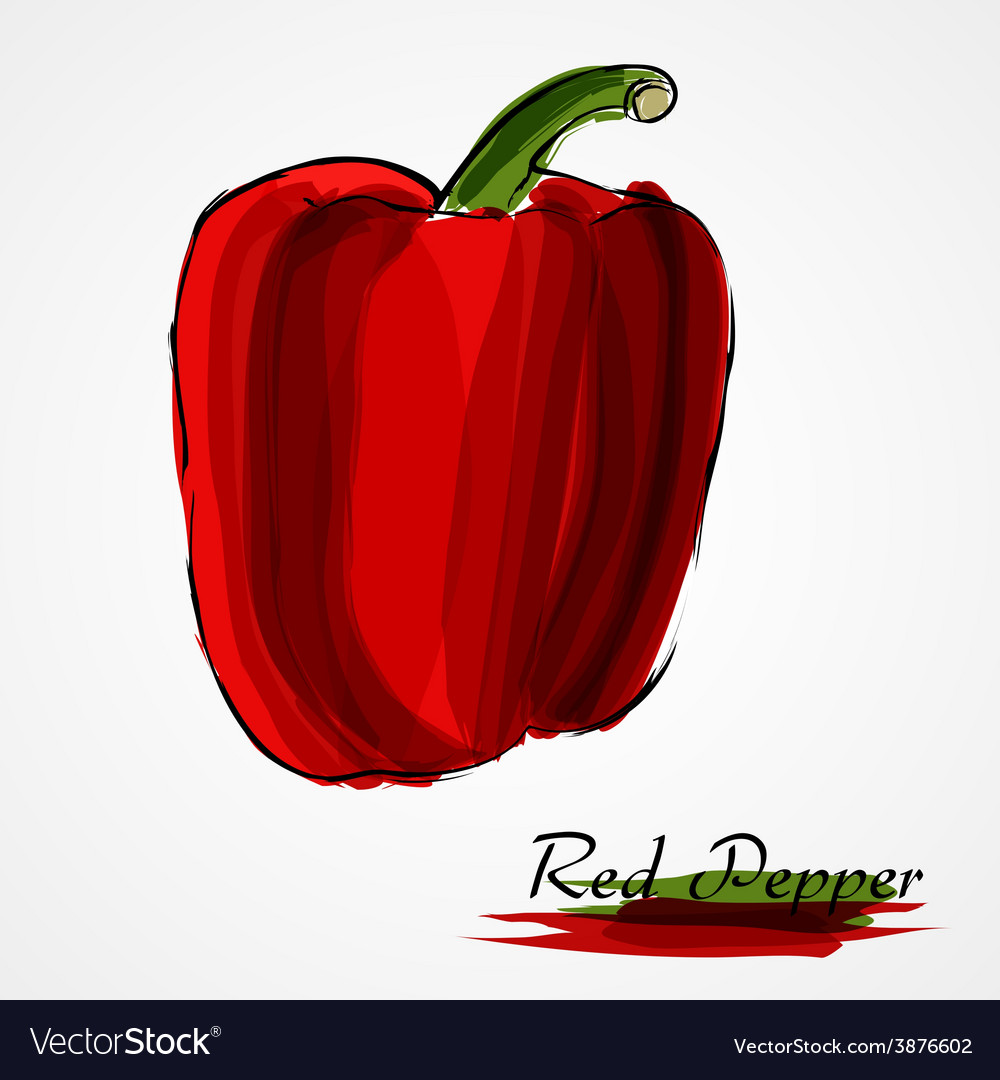 Red pepper Royalty Free Vector Image - VectorStock