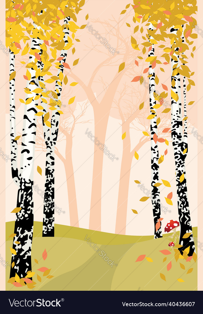 Autumn birch trees Royalty Free Vector Image - VectorStock
