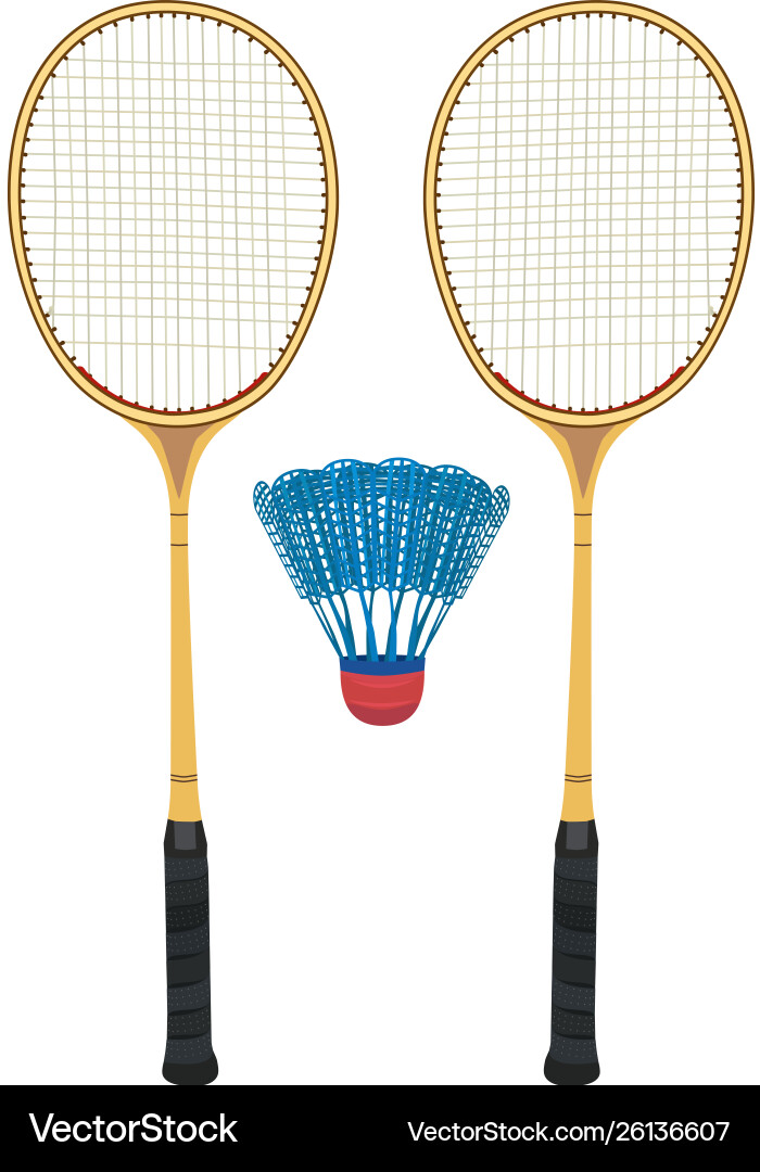 Badminton rackets and shuttlecock isolated Vector Image