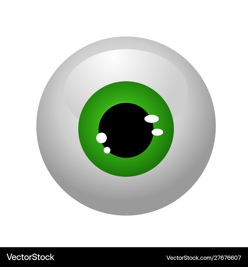 Eyeballs isolated Royalty Free Vector Image - VectorStock
