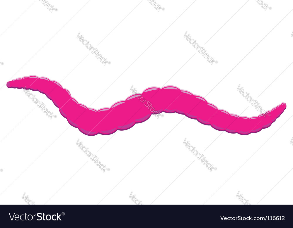 Worm Royalty Free Vector Image - VectorStock