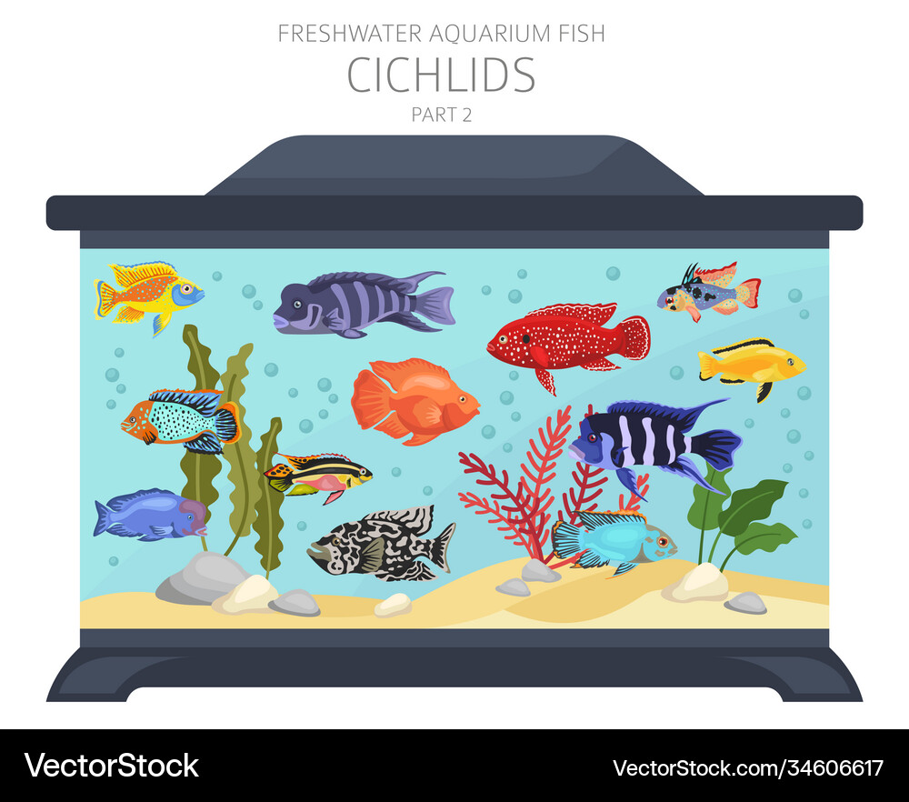 Cichlids fish freshwater aquarium icon set Vector Image