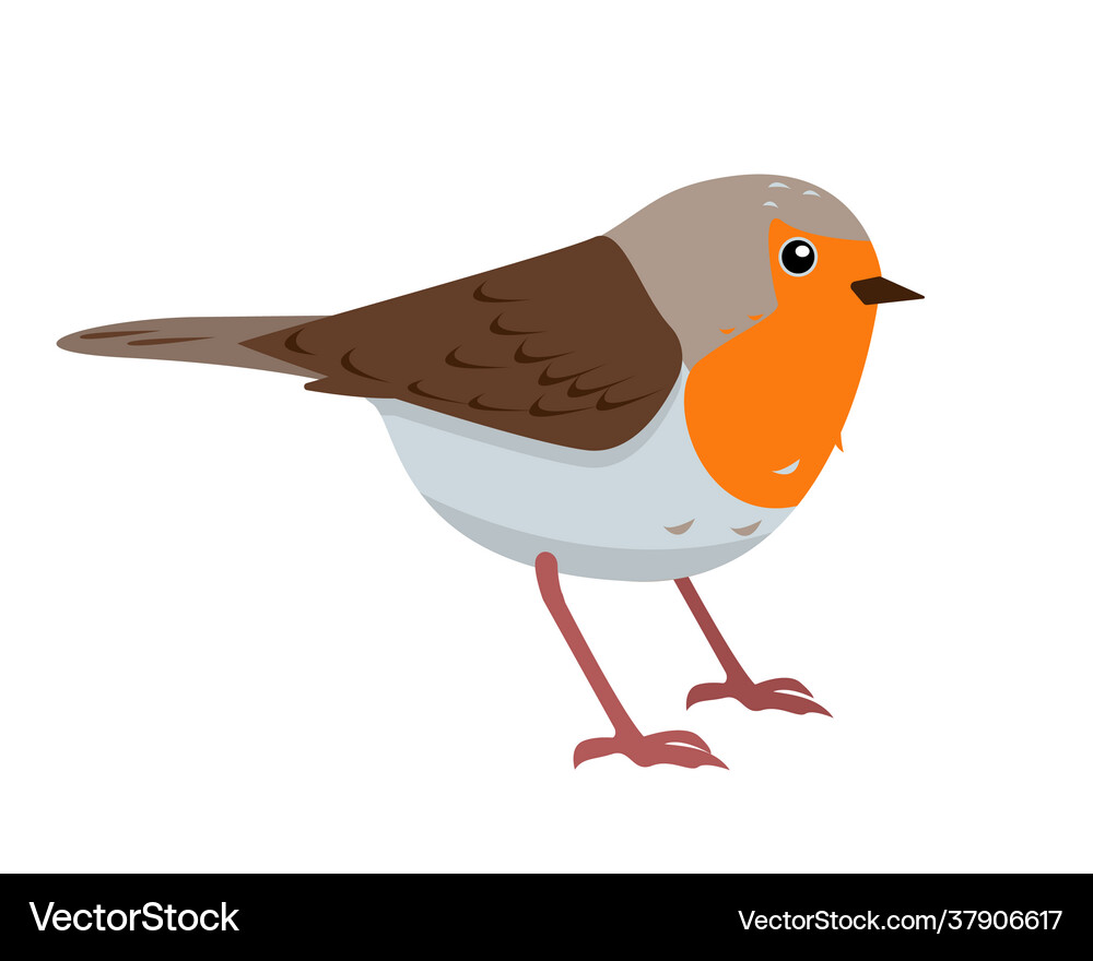 Cute European Robin Icon Royalty Free Vector Image