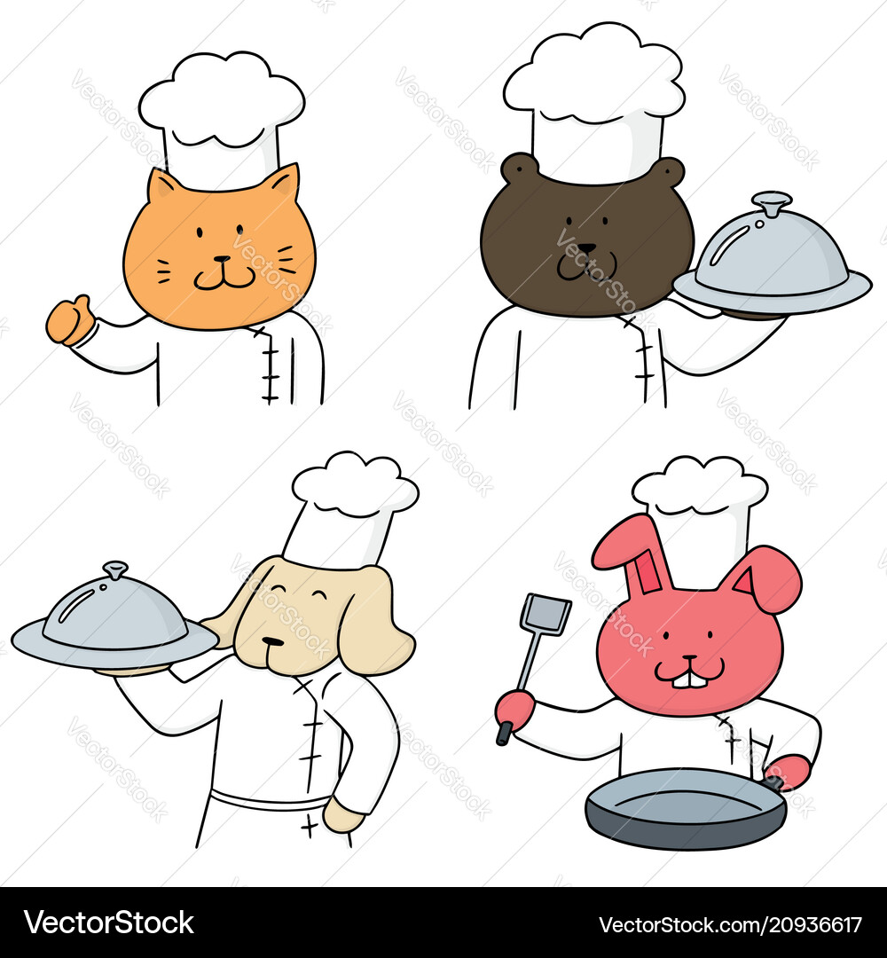 Set of animal chef Royalty Free Vector Image - VectorStock