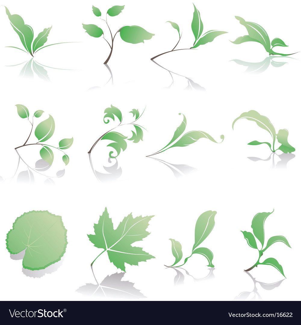 Plant design elements Royalty Free Vector Image