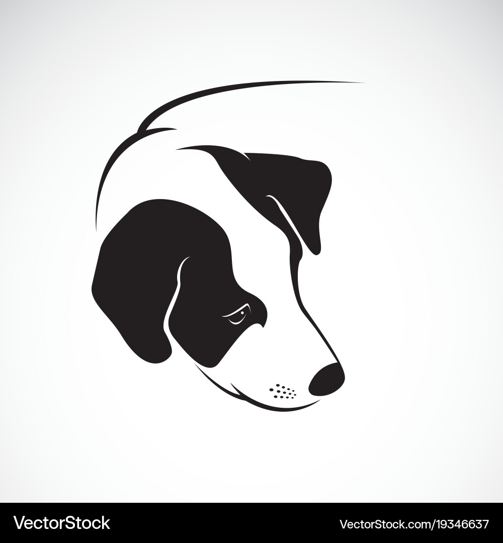 Dog head design on white background pet Royalty Free Vector