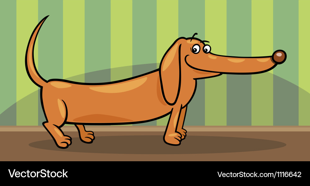 Dachshund dog cartoon Royalty Free Vector Image