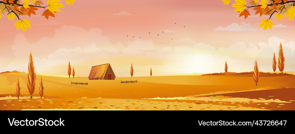 Autumn field with sunset 1aug22 Royalty Free Vector Image