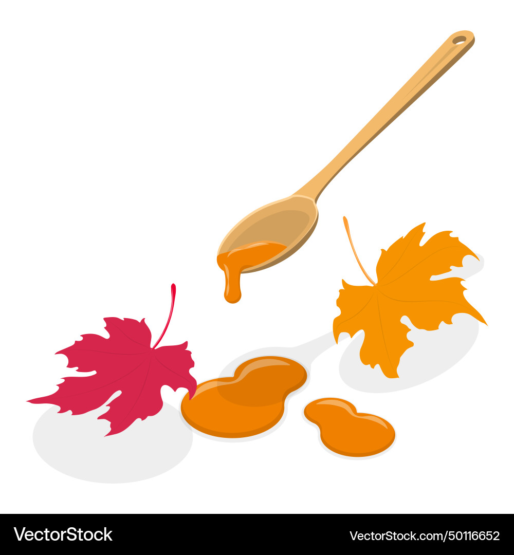 3d isometric flat set of maple syrup item Vector Image
