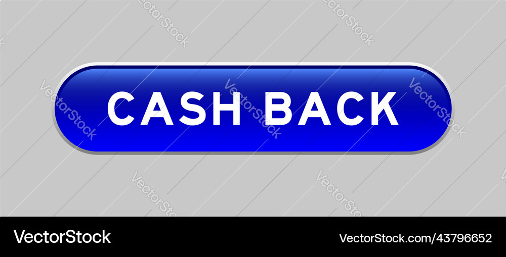 Blue color capsule shape button with word cash Vector Image