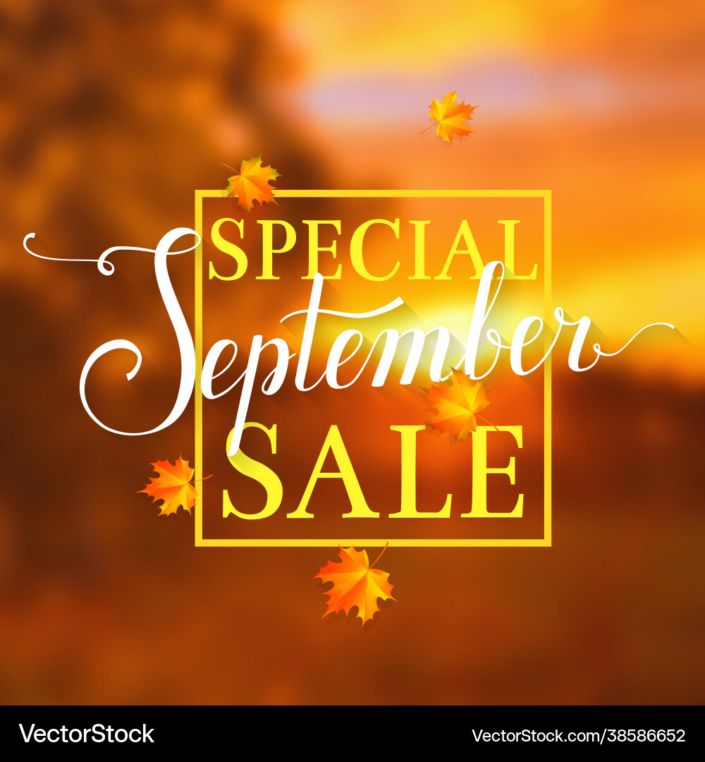 September sale banner Royalty Free Vector Image