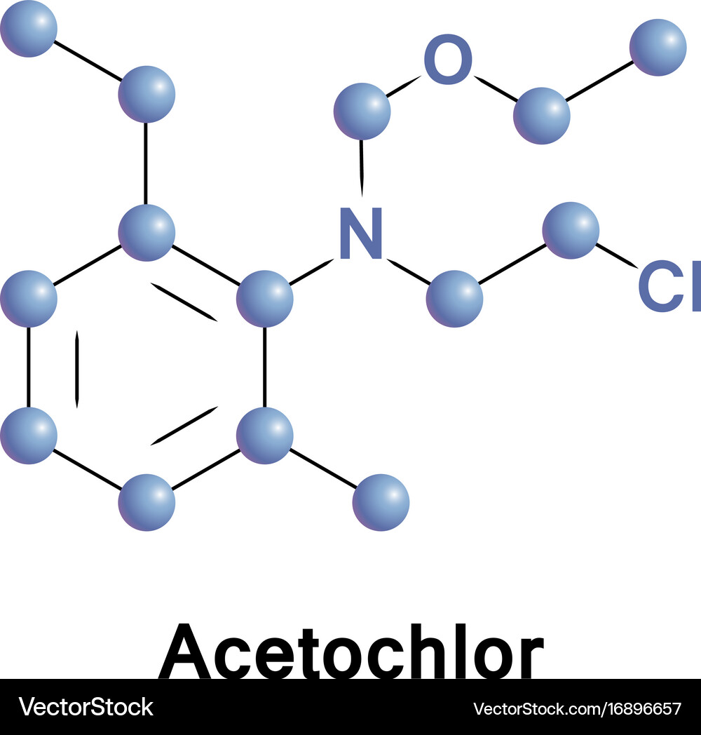 Acetochlor herbicide chloroacetanilide Royalty Free Vector