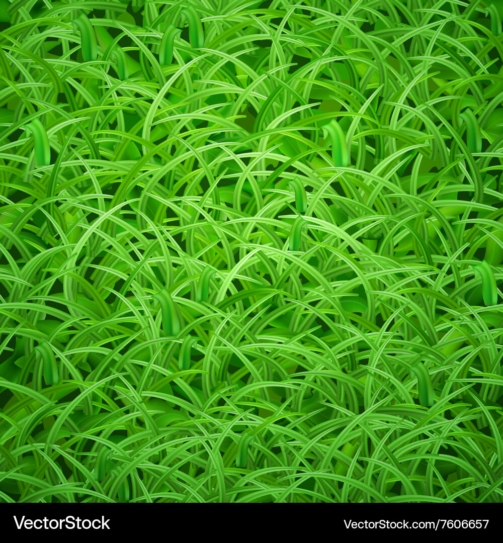 Background of green grass Royalty Free Vector Image