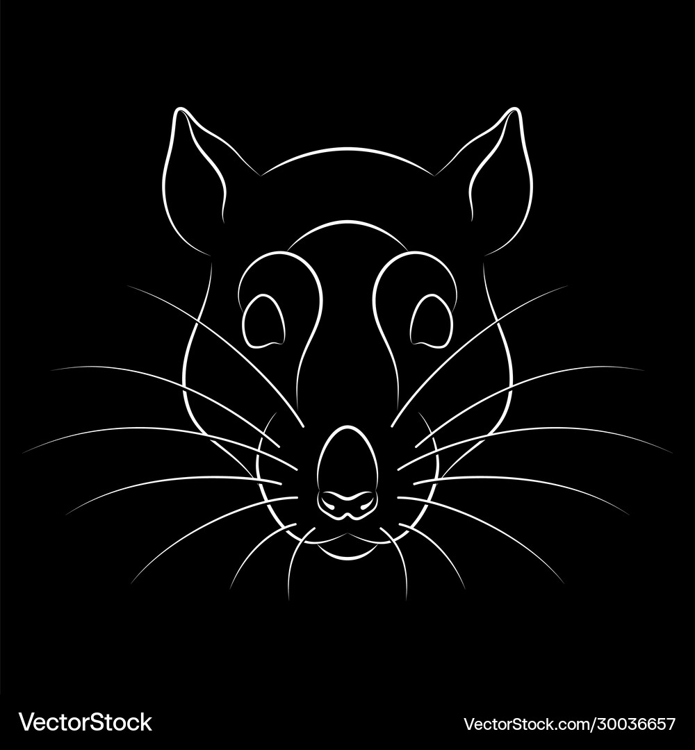 Outline stylized rat portrait on black Royalty Free Vector
