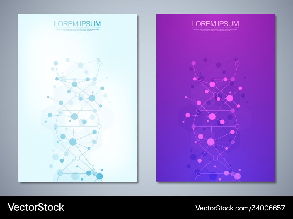 Template brochures or cover design book flyer Vector Image