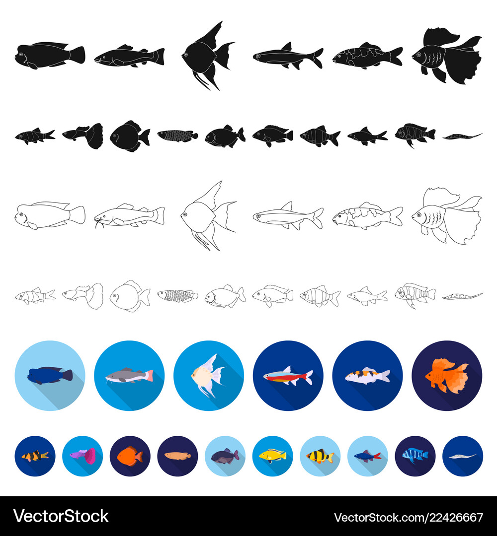 Different types of fish flat icons in set Vector Image