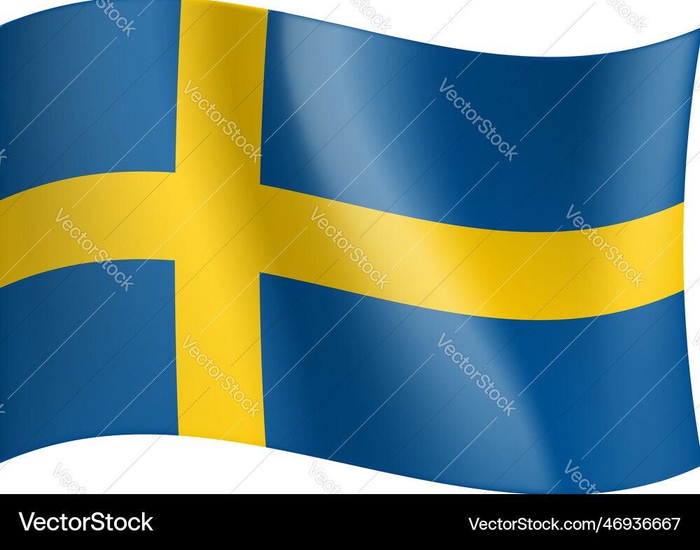 Immunization icon of sweden Royalty Free Vector Image