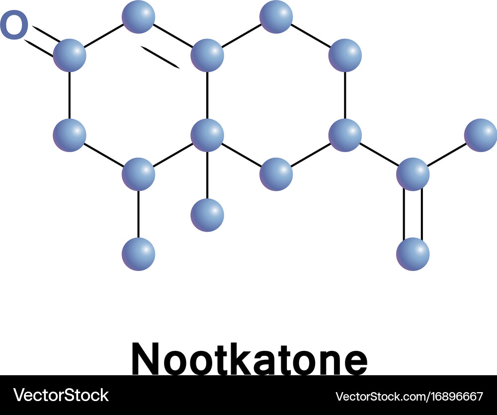 Nootkatone sesquiterpene ketone Royalty Free Vector Image