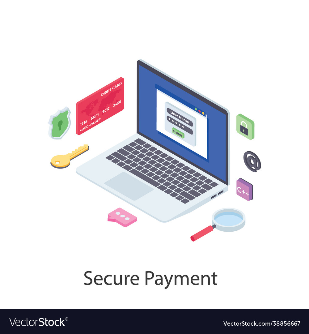 Secure payment Royalty Free Vector Image - VectorStock