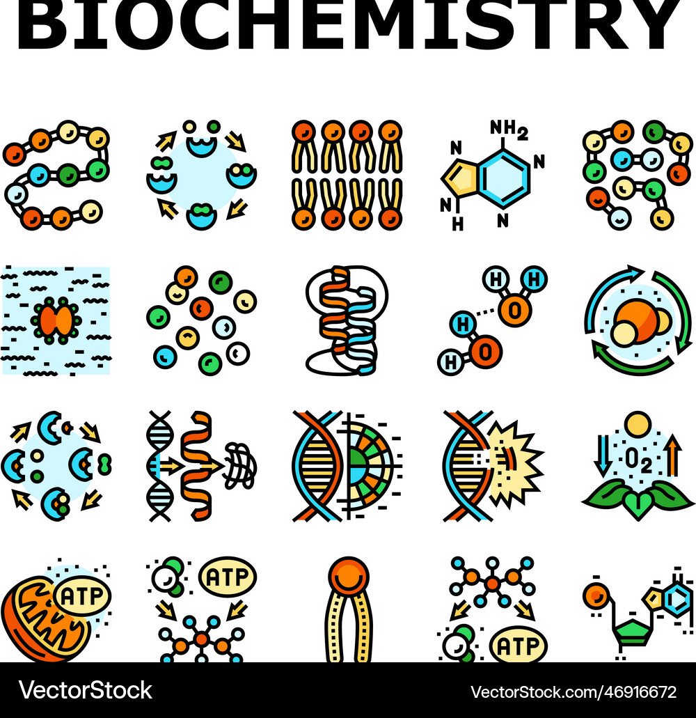 Biotechnology chemistry science icons set Vector Image