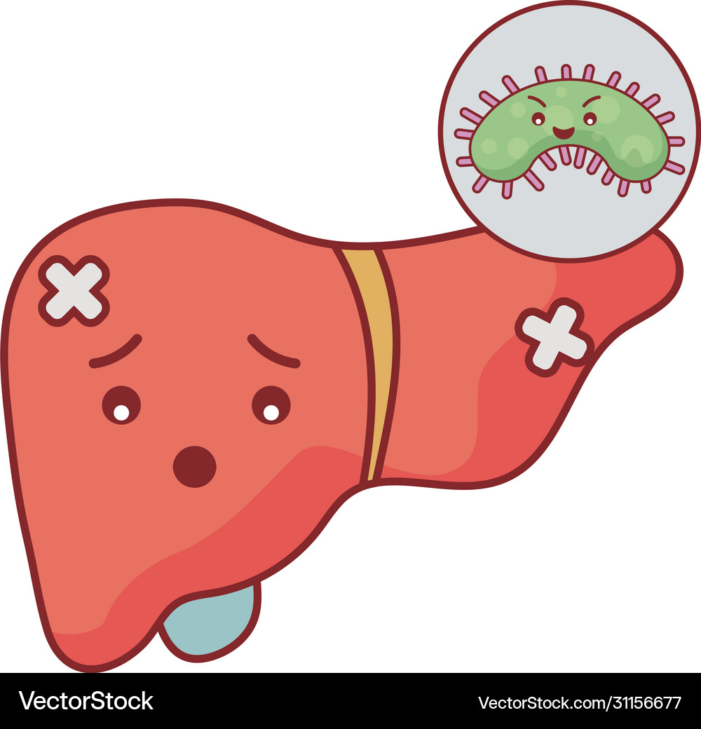 Cartoon Liver Cartoon Sick Liver Stock Vector Image: 72225609