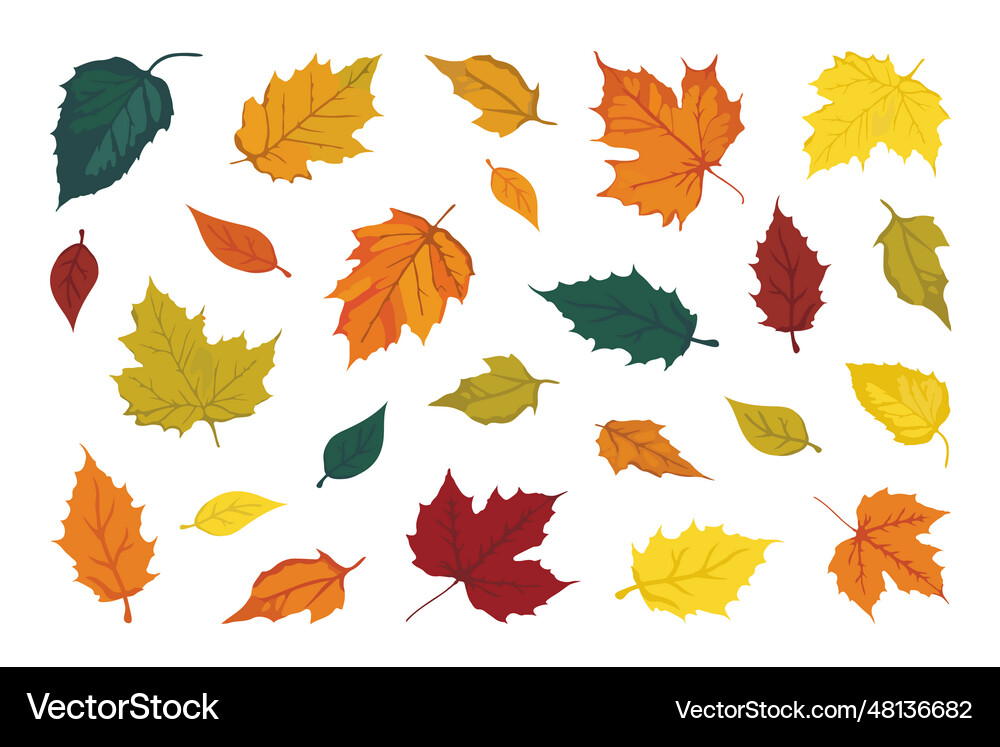 A set of fallen leaves flat design style Vector Image