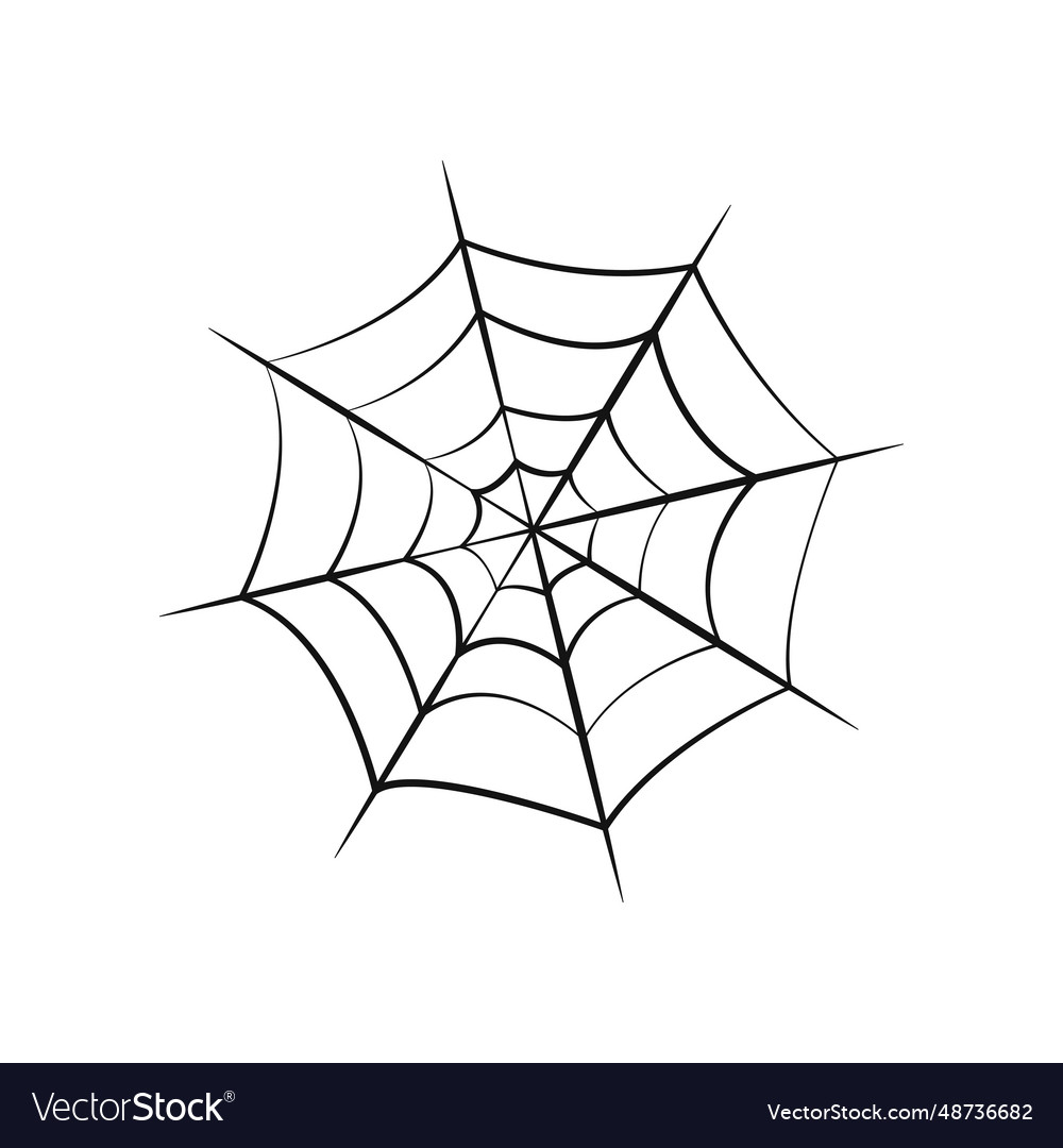 Graceful spider web Royalty Free Vector Image - VectorStock