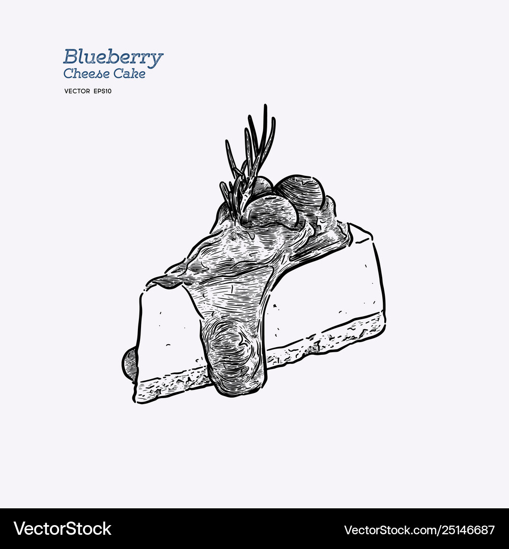 Blueberry cheese cake hand draw sketch Royalty Free Vector