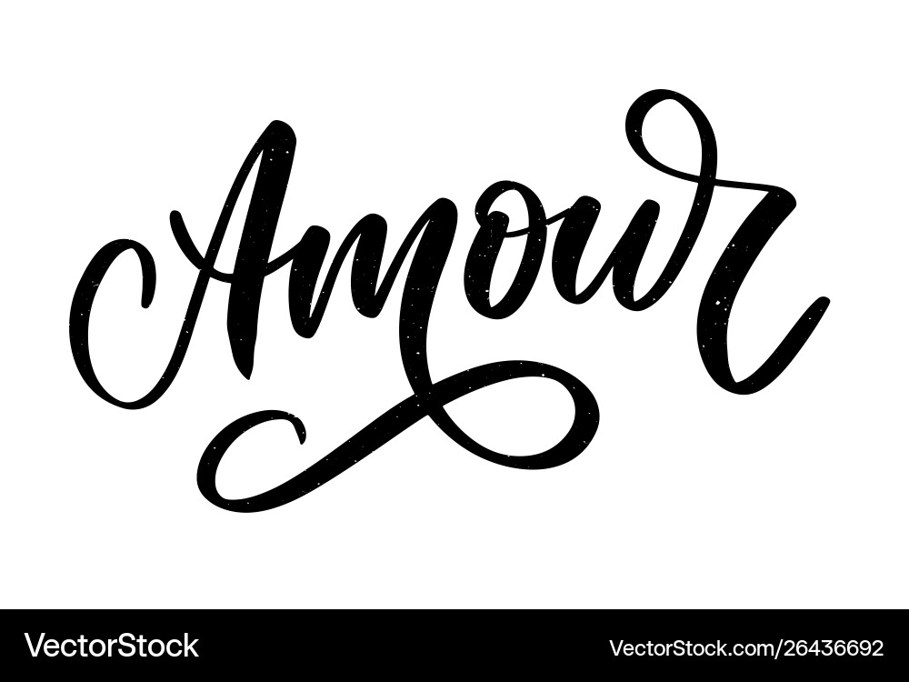 Amour handwritten lettering with hand drawn Vector Image